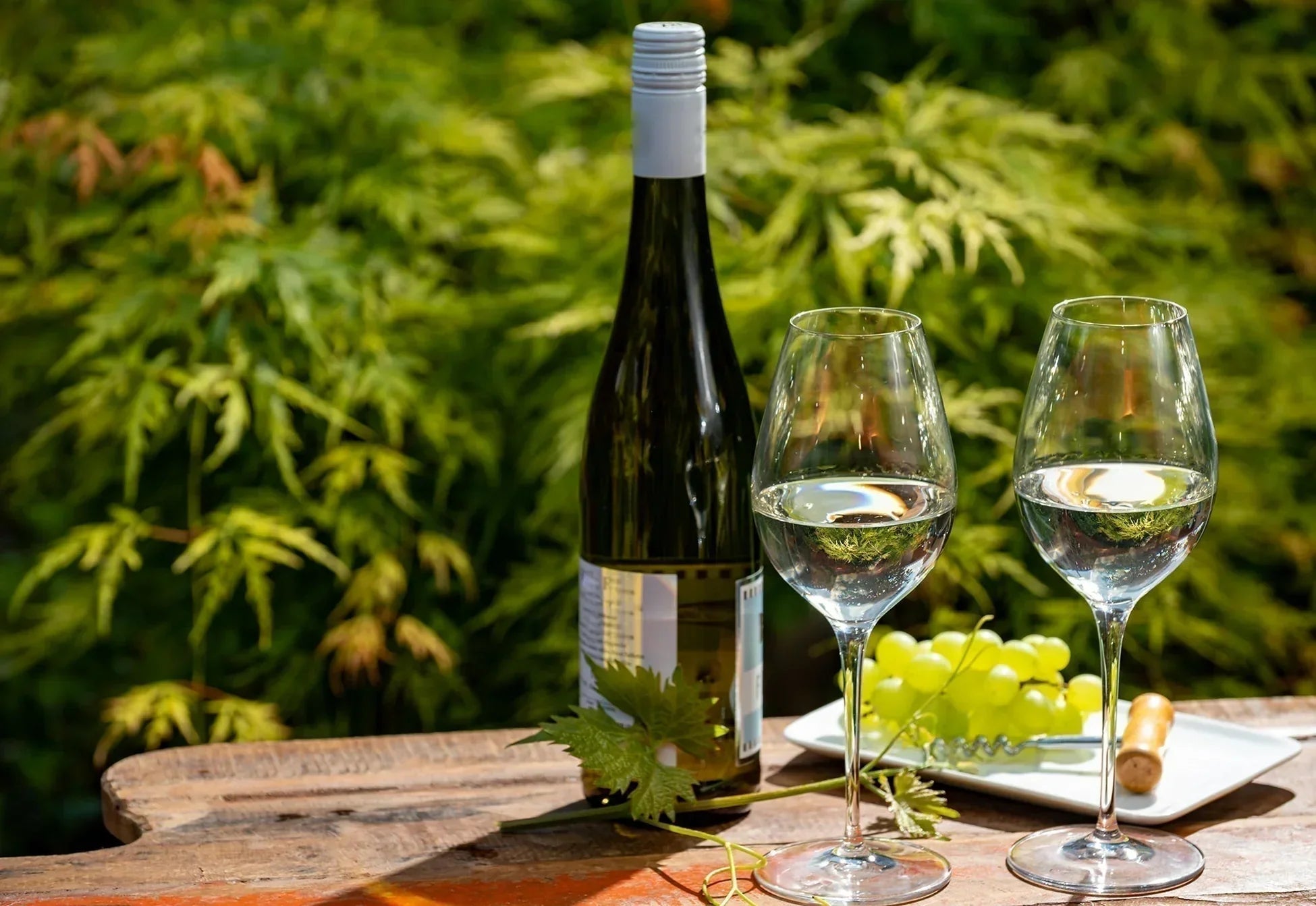 Riesling Wine Description and Food Pairings – Coravin APAC